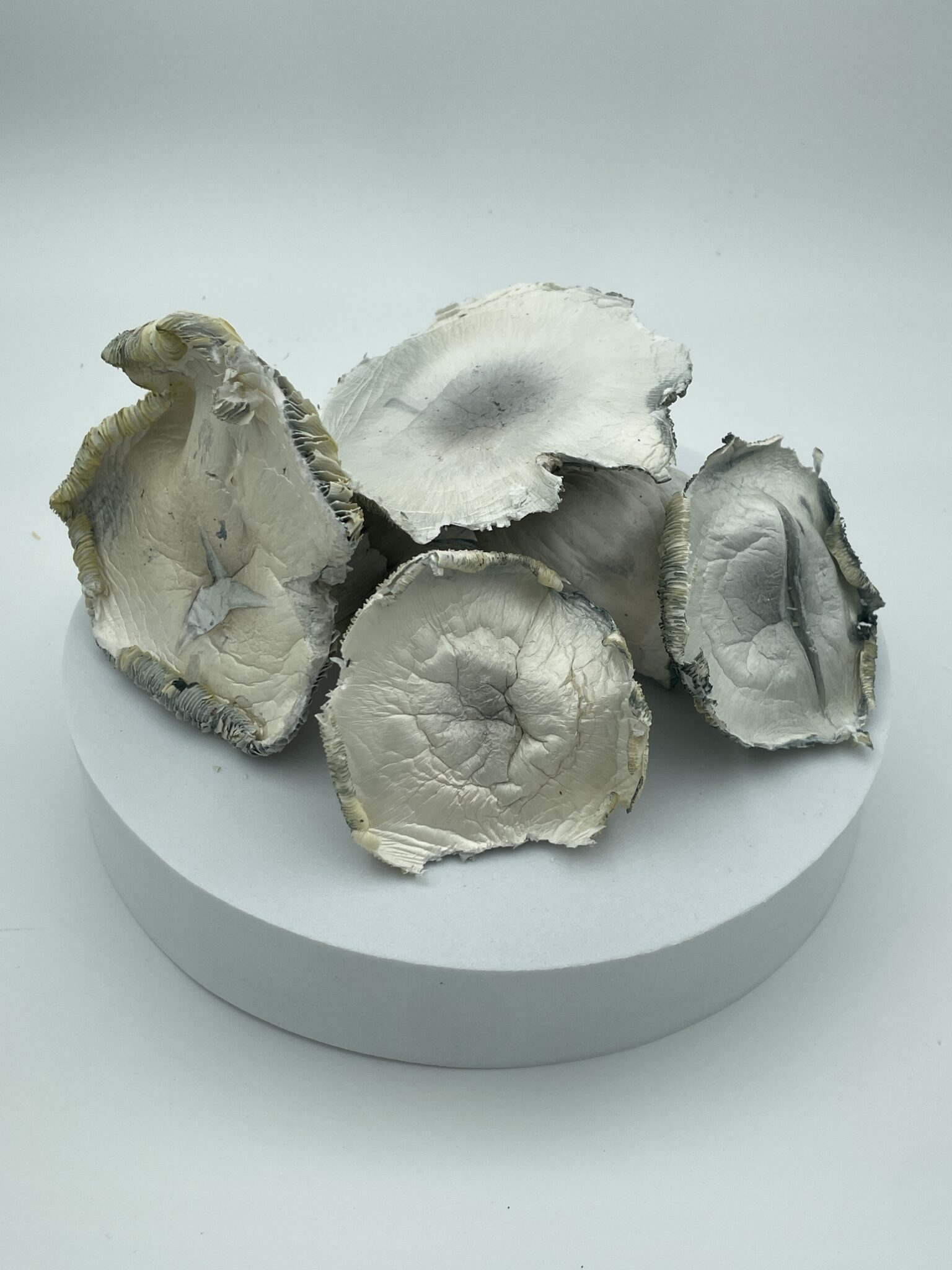 iron mountain Magic Mushrooms Dispensary | Shrooms Michigan