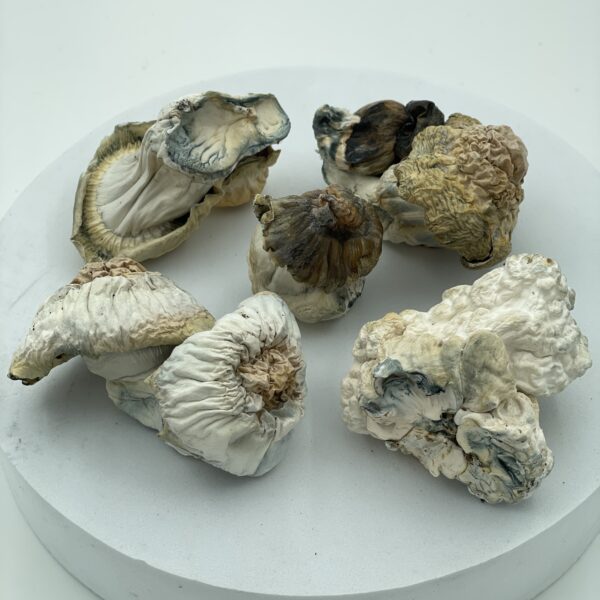 Magic Mushrooms Delivery Detroit Michigan - Shrooms Detroit