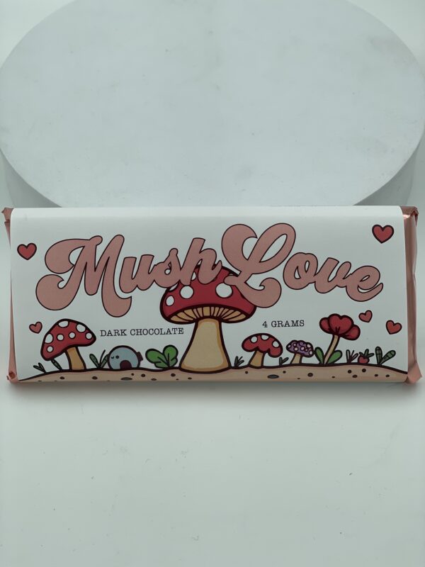 Magic Mushroom Chocolate Bars | Shroom Chocolates